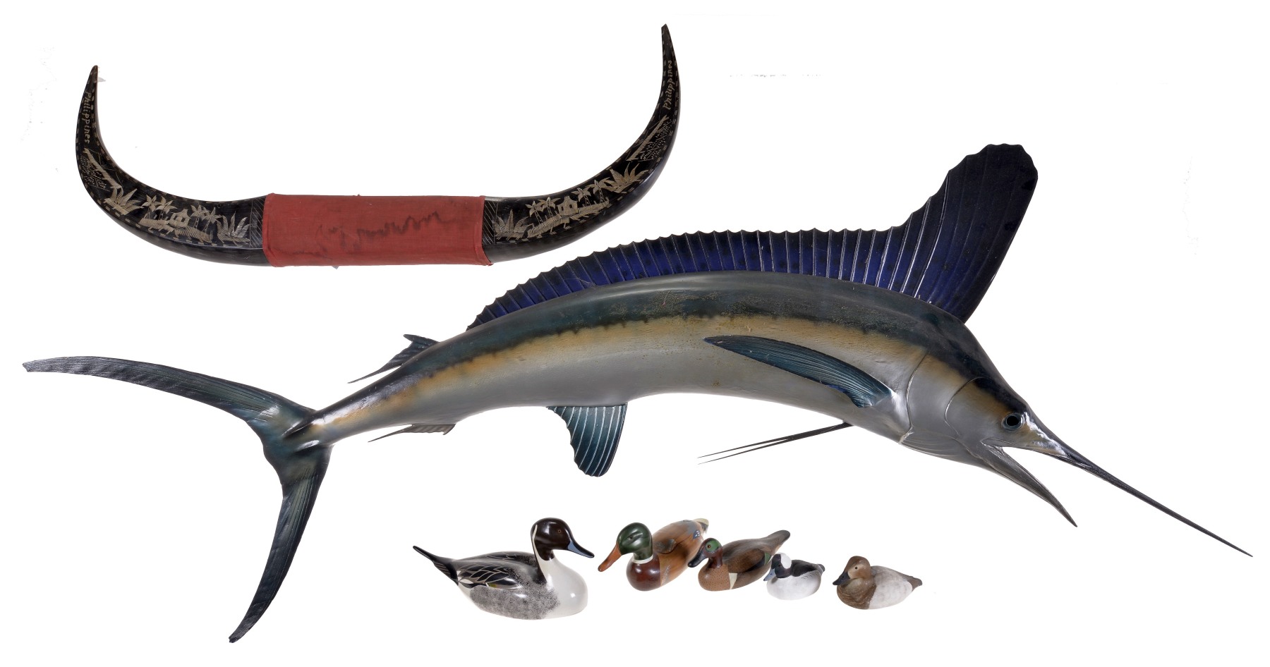 Sailfish, Engraved Bull Horns, and Five Decoy Ducks | Rock Island Auction