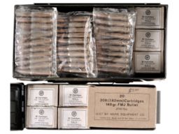 Twenty Rounds of .577 Tyrannosaur Ammunition | Rock Island Auction