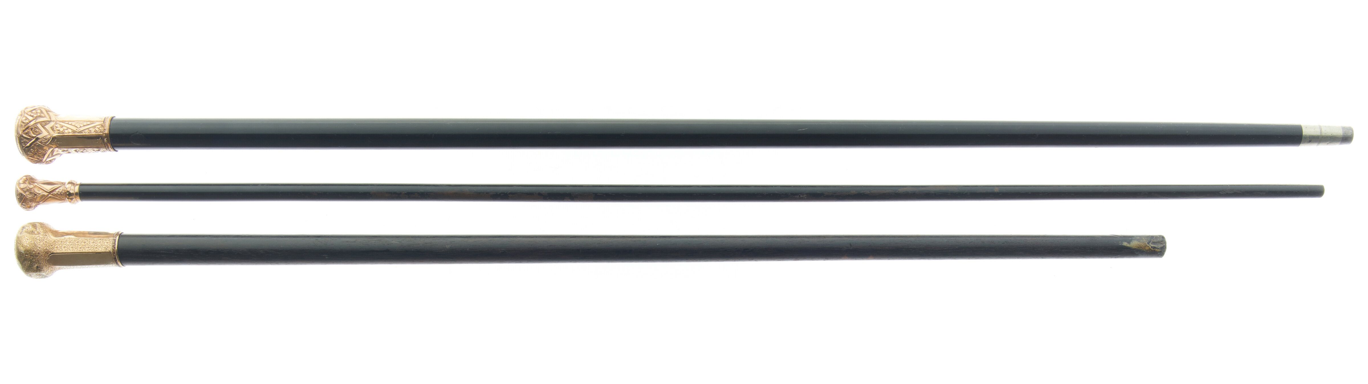 Three Canes with Inscribed, Engraved, and Gilt Handles | Rock Island ...