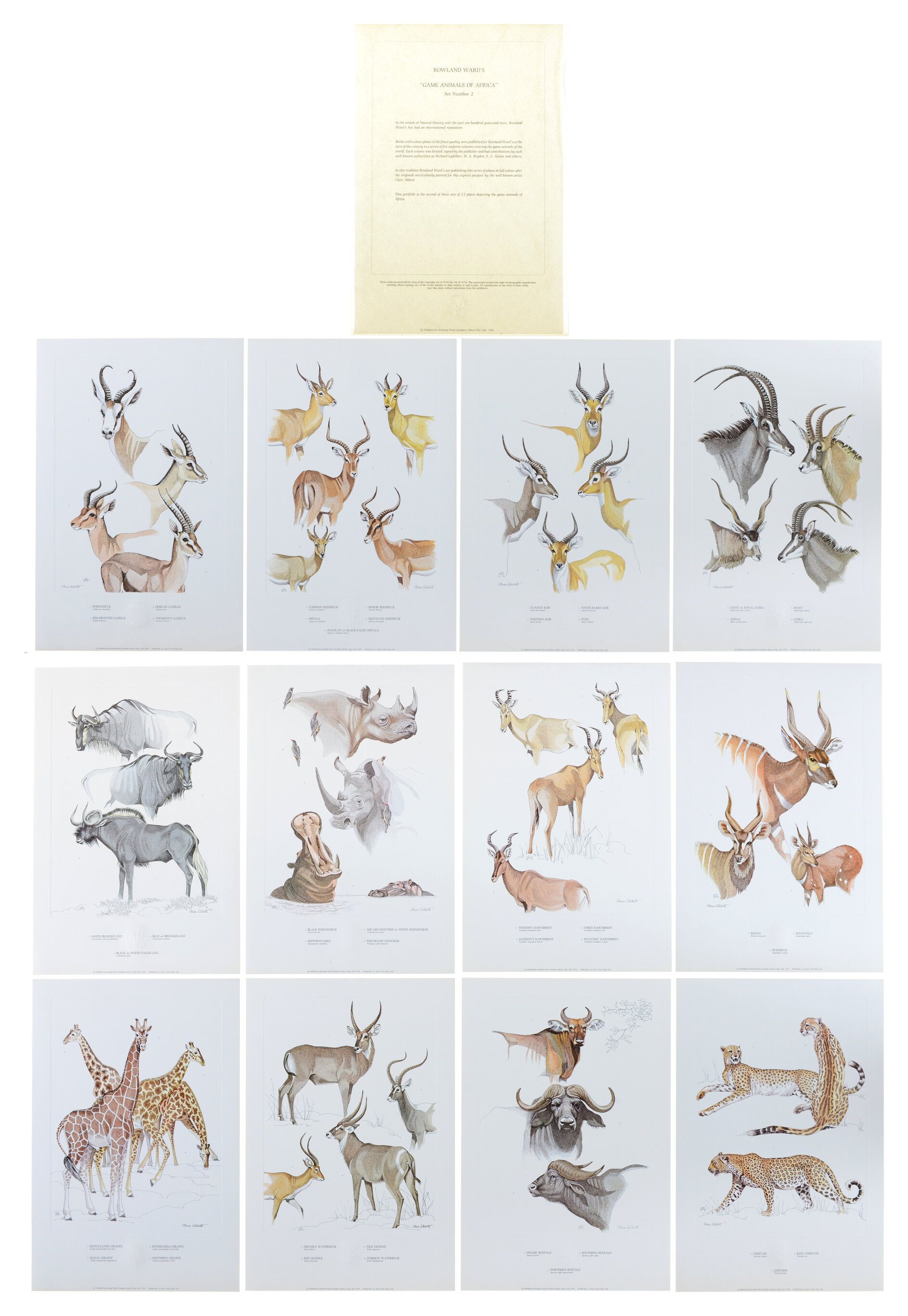 Rowland Ward's "Game Animals of Africa" Set Number 2 | Rock Island Auction