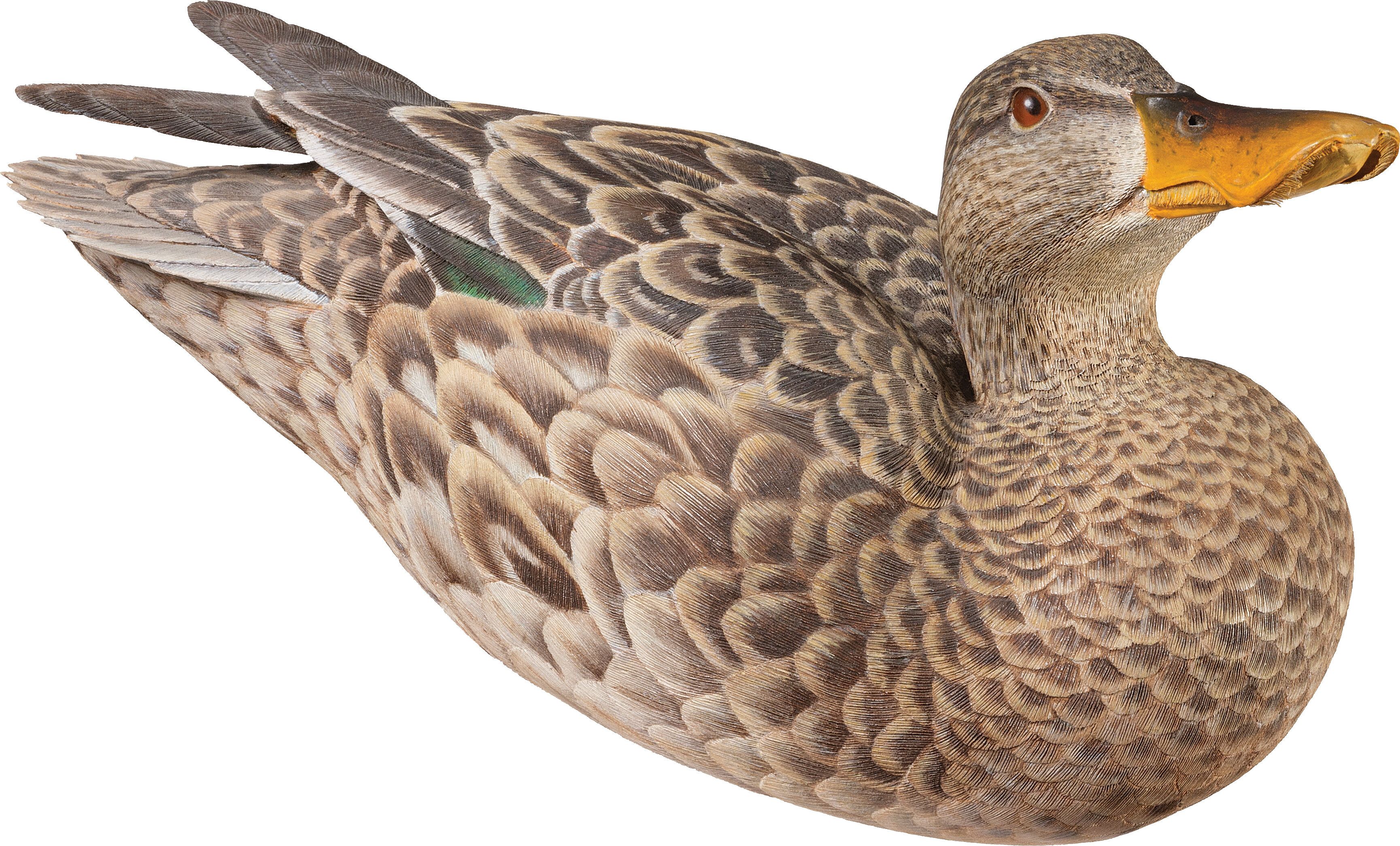 Spoonbill Duck Carved Hardwood Decoy by Allen | Rock Island Auction