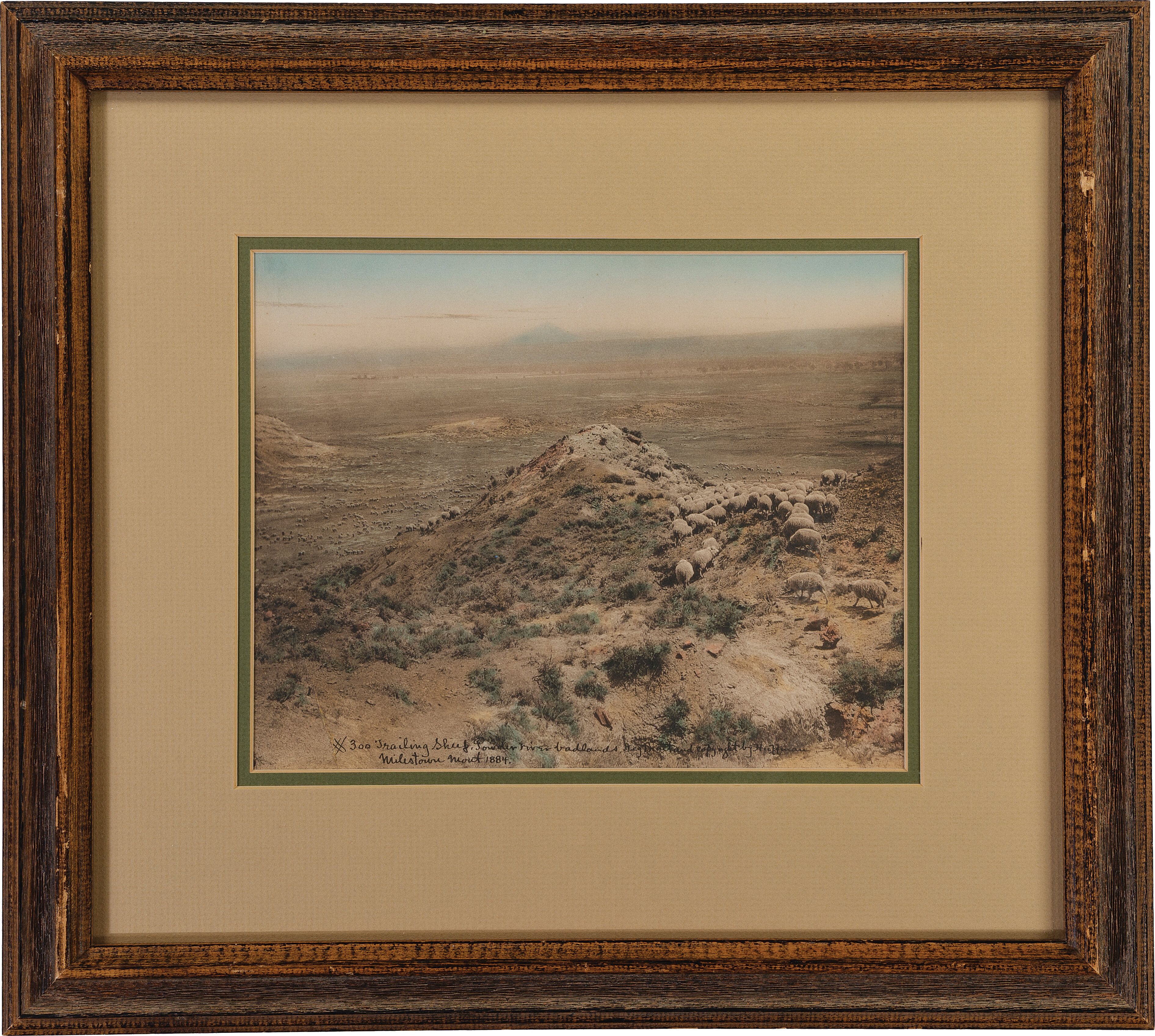 Framed Hand Colorized Print of L.A. Huffman's "Trailing Sheep" | Rock ...