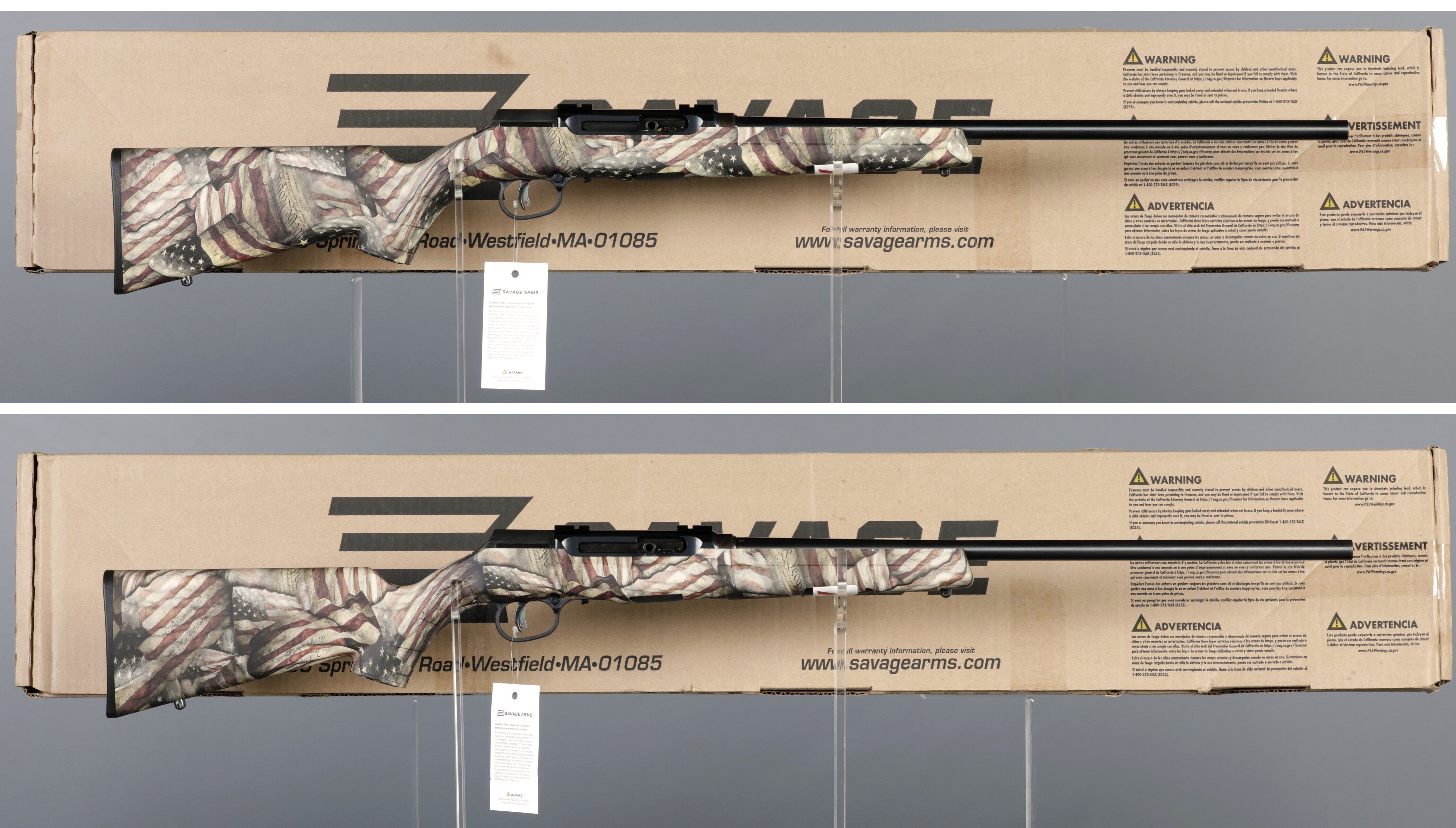 Two Savage Model A22 Semi-Automatic Rifles with Boxes | Rock Island Auction