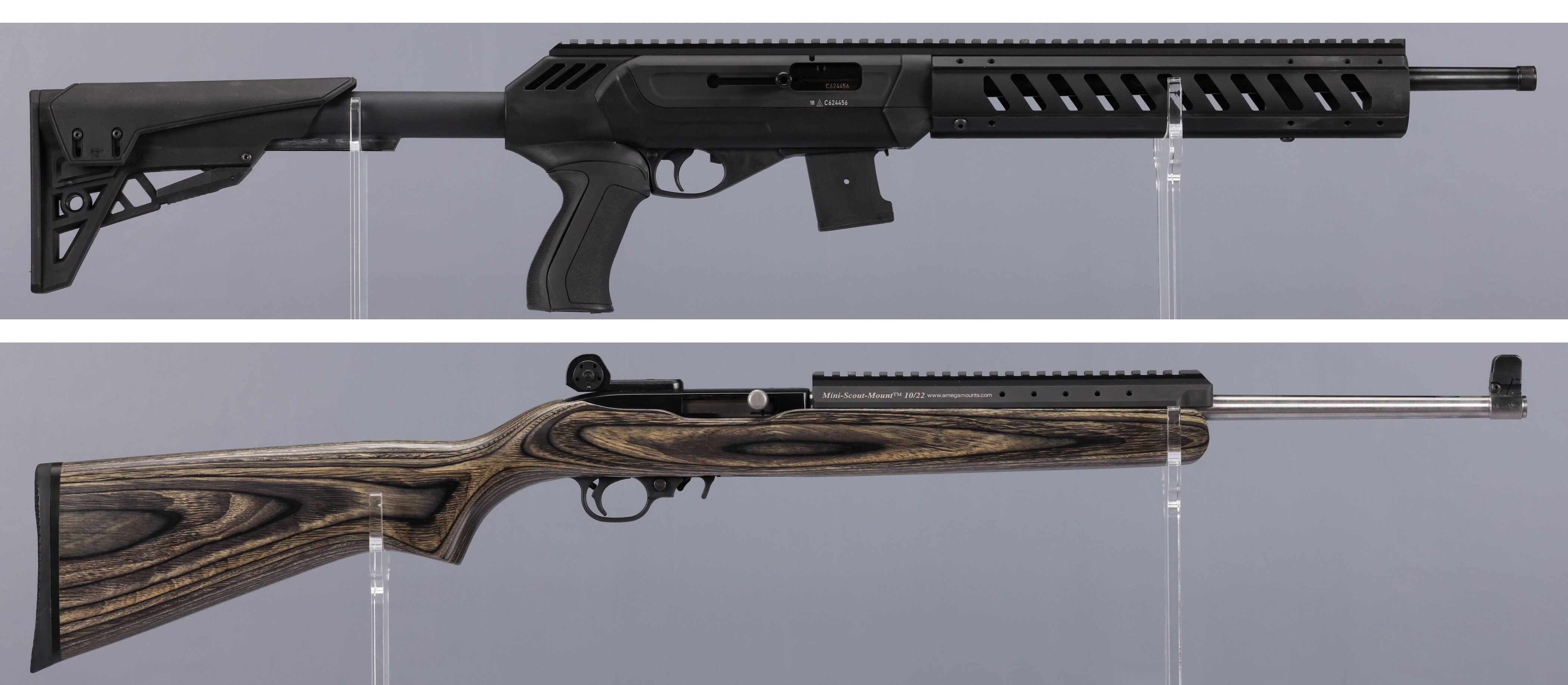 Two Semi-Automatic Rimfire Rifles | Rock Island Auction