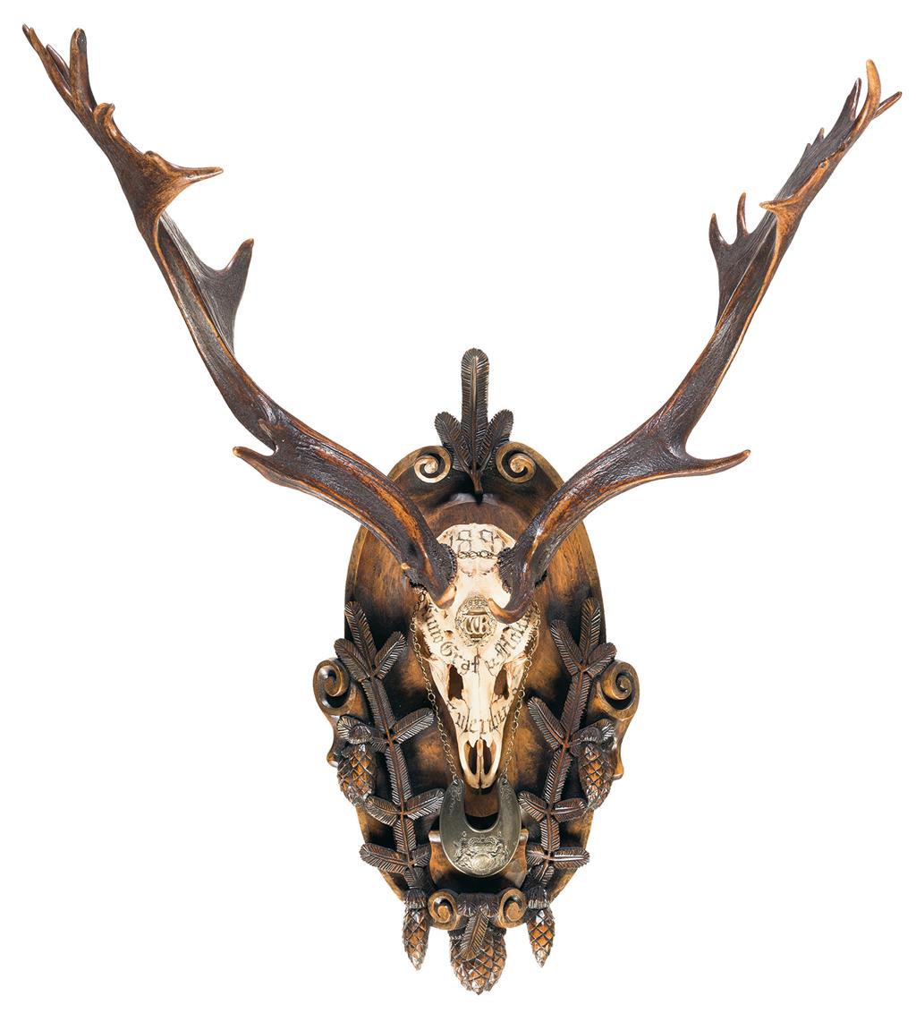 Excellent 1892 Dated Fallow Deer European Skull Mount, Marked to | Rock ...