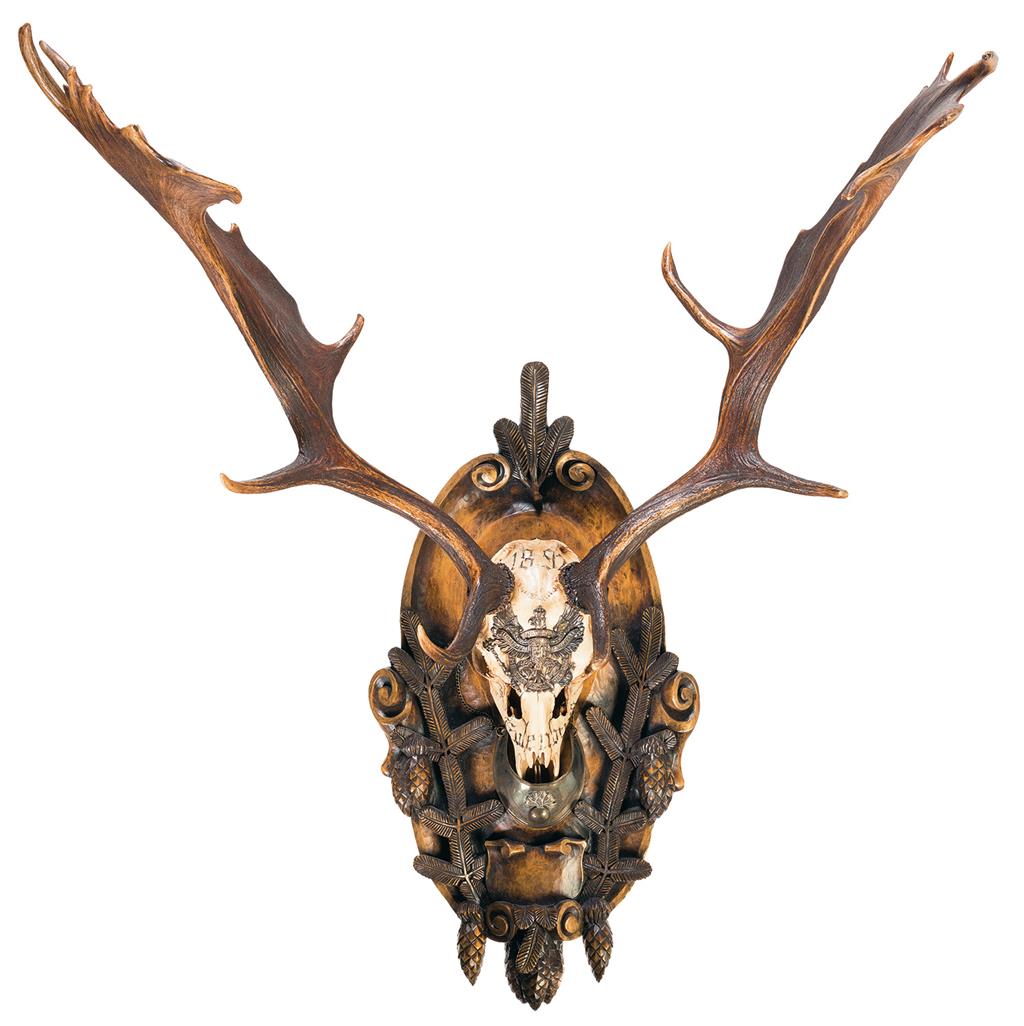 Excellent 1892 Dated Fallow Deer European Skull Mount, from the | Rock ...