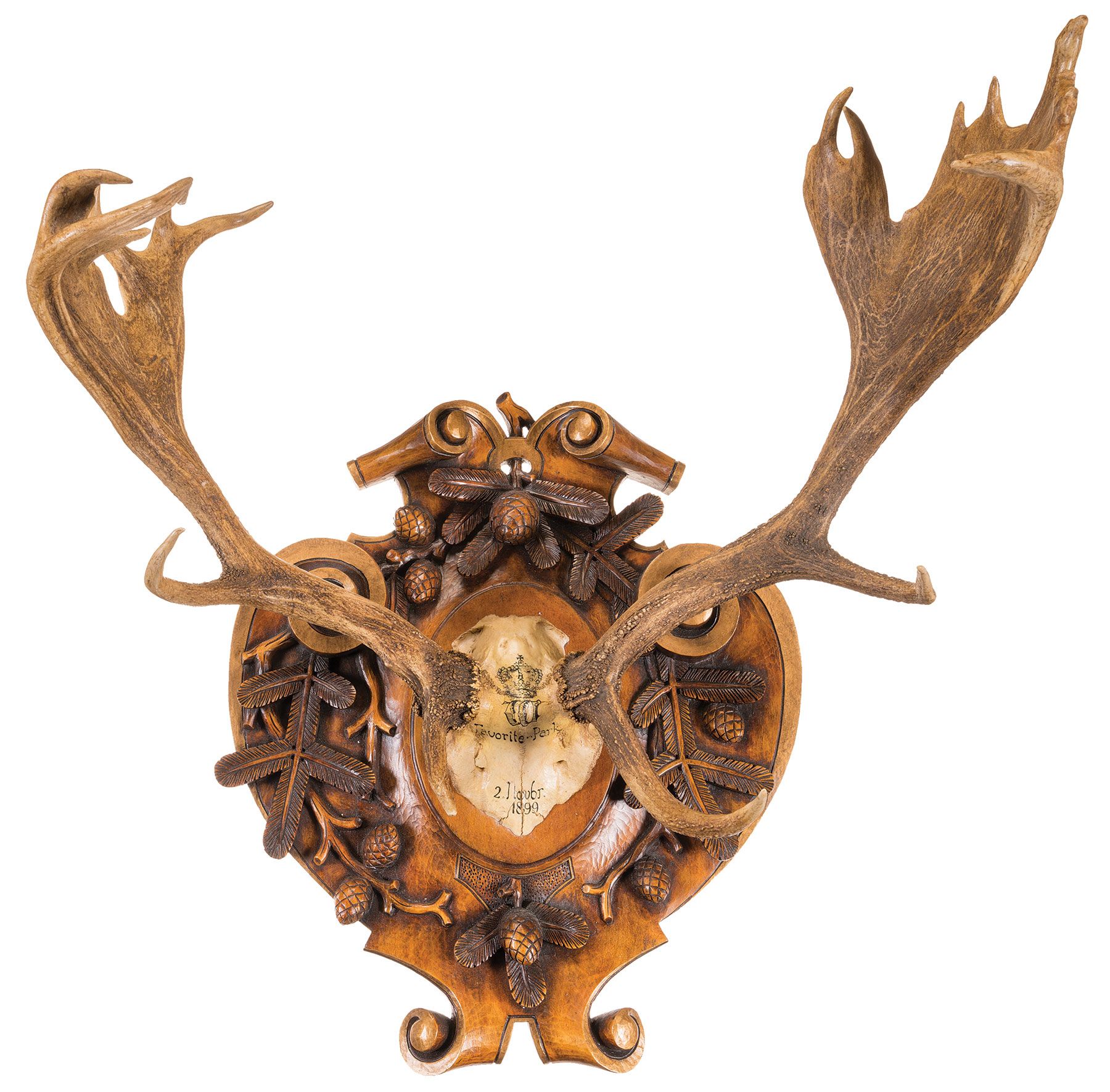 Favorite Park/Royal Hunt Collection Fallow Deer Skull Cap Mount | Rock ...