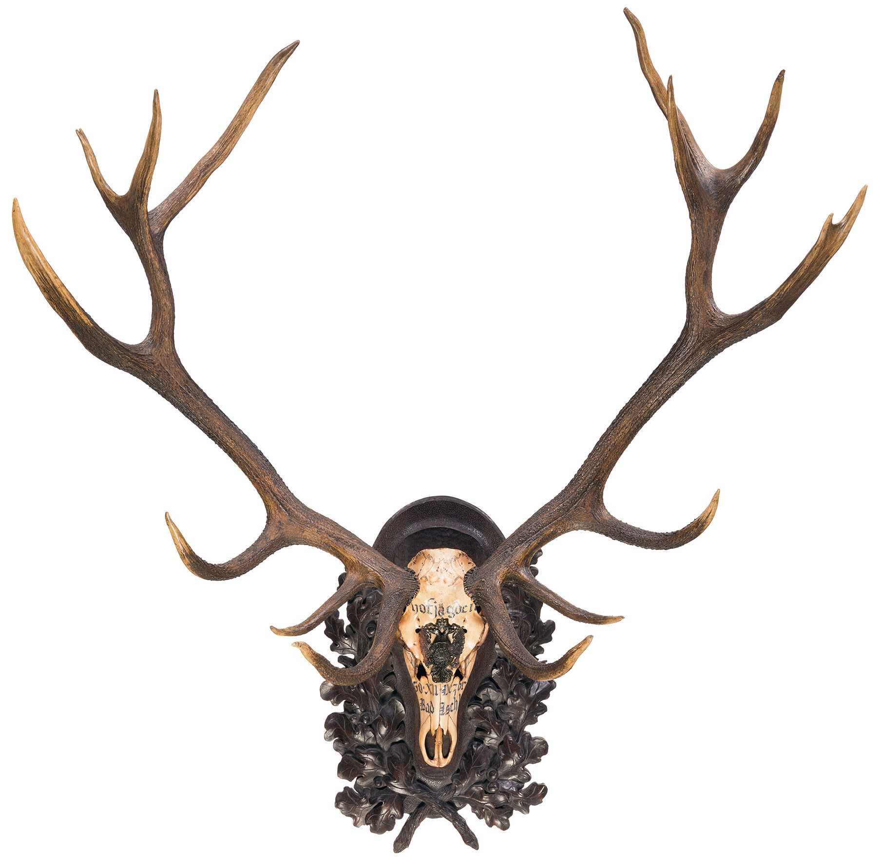 16 Point Red Stag Mount, Habsburg/Royal Hunt Collection | Rock Island ...