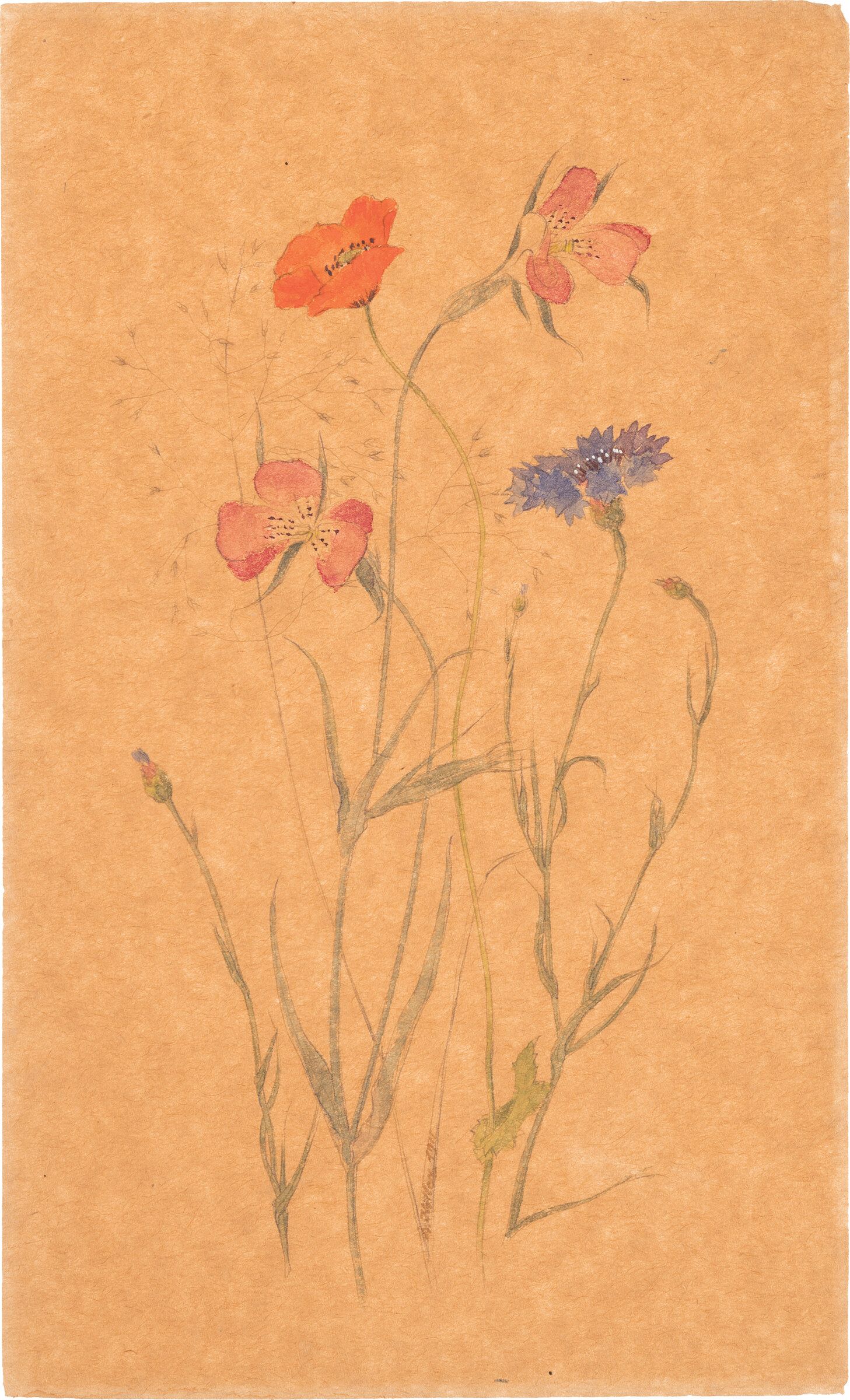 Adolf Hitler Signed Floral Watercolor | Rock Island Auction